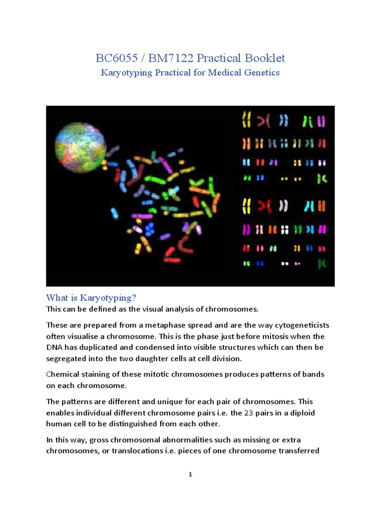 BC6055 - BM7122 Practical Booklet 2021-22 | PDF | Chromosome | Cytogenetics