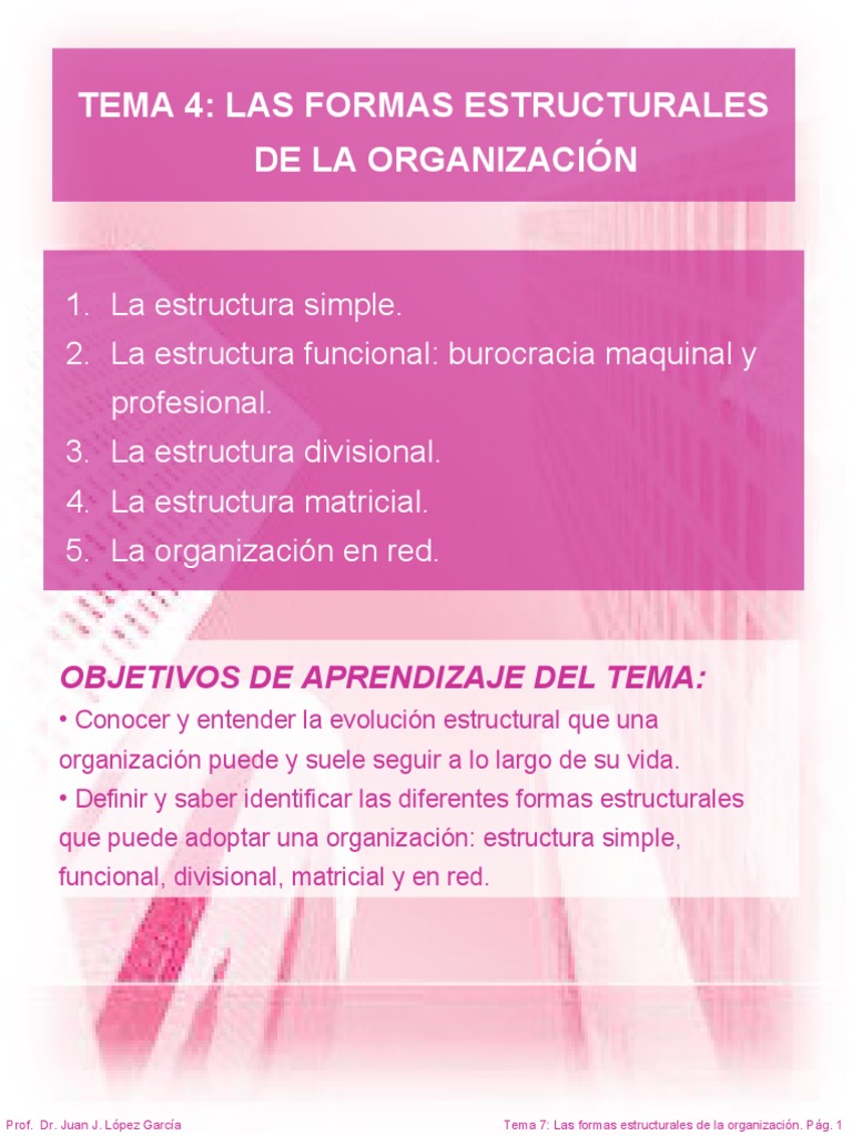 Tema 4 Las Formas Estructurales de La Organización | PDF | Iniciativa empresarial | Negocios ...