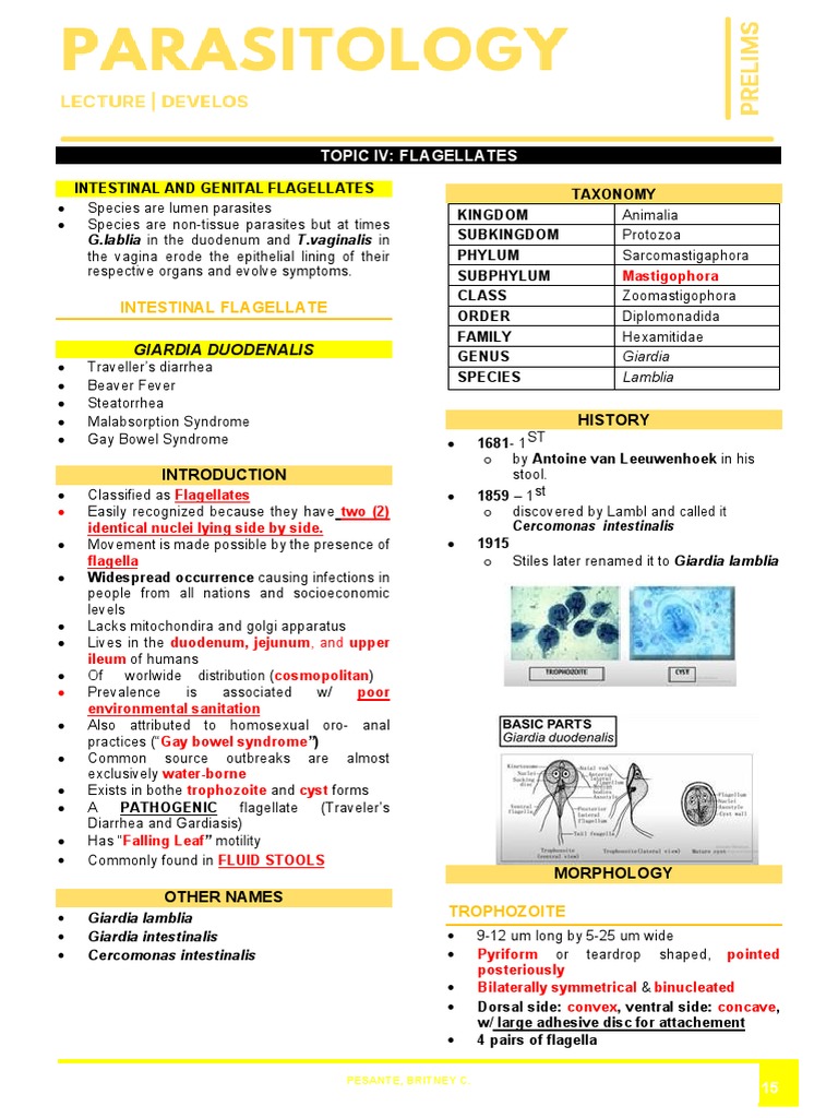 Parasitology (Quiz 2) | PDF | Medical Specialties | Clinical Medicine