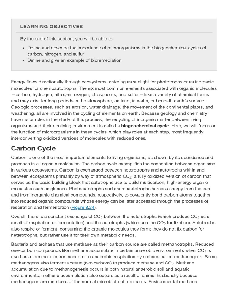 8.7 Biogeochemical Cycles - Microbiology - OpenStax | PDF | Sulfur ...