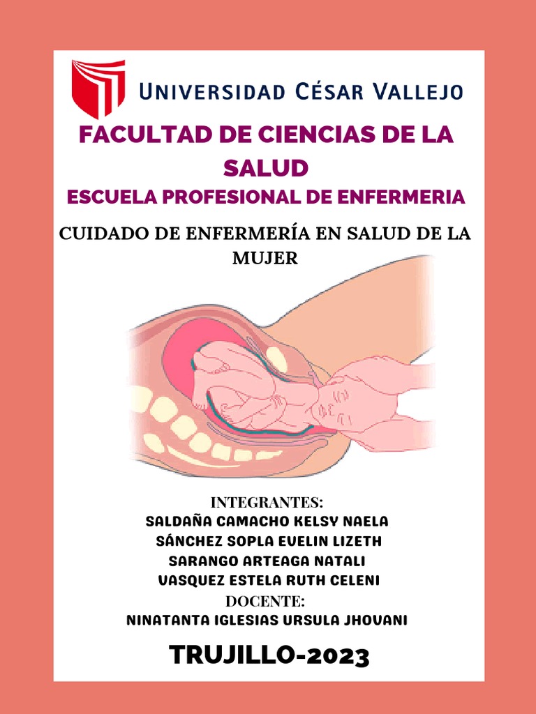 Caso Clínico Parto Vaginal | PDF | Parto | Periodo posparto Caso Clínico Parto Vaginal | PDF | Parto | Periodo posparto