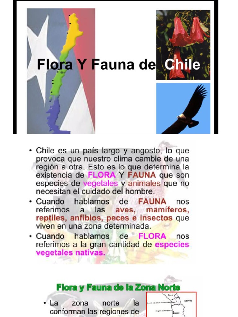 Flora y Fauna Chilena | PDF