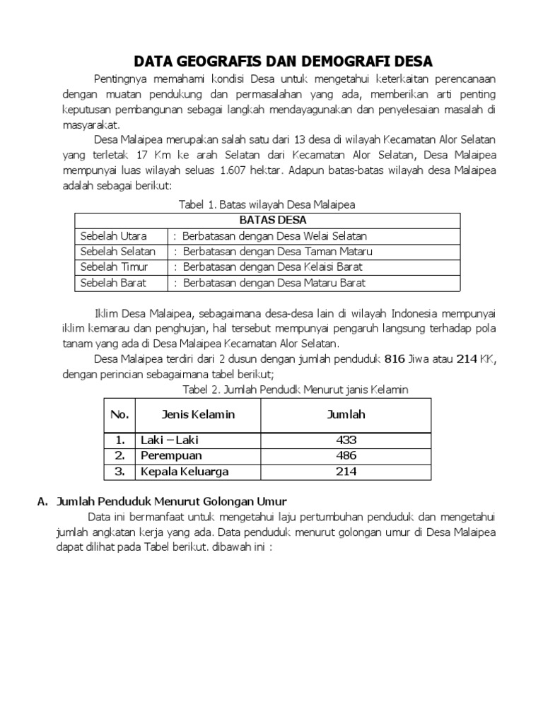 Geografis Dan Demografi Desa | PDF