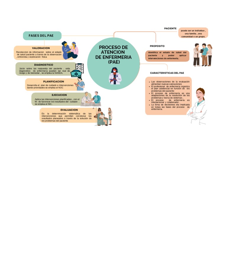 PAE Mapa Conceptual | PDF | Enfermería | Programas sociales
