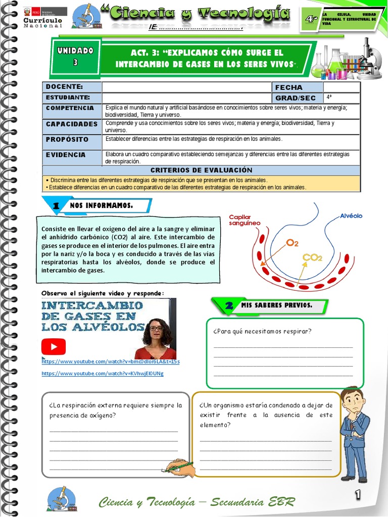 C-4º ACT 3-CYT-UND 3- SEM 3 (1) | PDF | Branquia | Sistema respiratorio