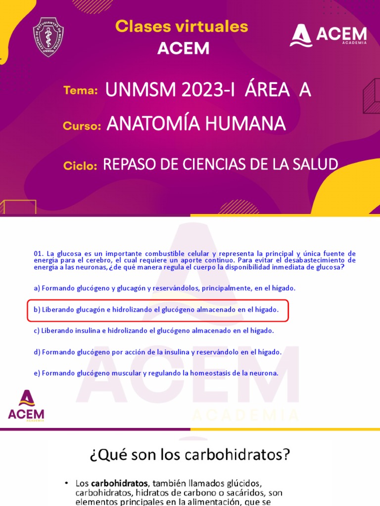ANATOMÍA UNMSM 2023-1 Área A-1 | PDF | Fermentación | Ácido láctico