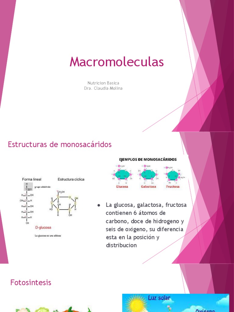 Macromoleculas | PDF | Dieta y nutrición | Fibra dietética