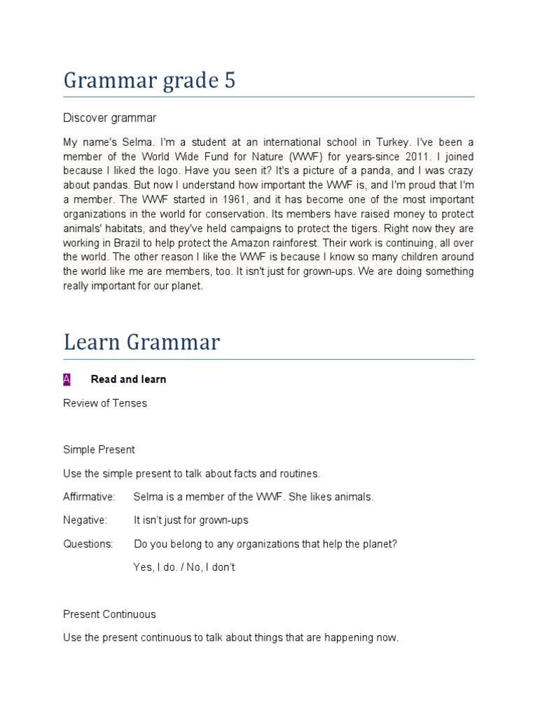 Grade 5 Grammar: WWF Membership Insights | PDF