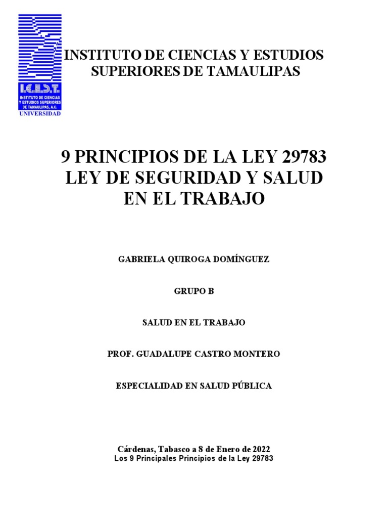 9 Principios Ley 29783 | Descargar gratis PDF | Seguridad y salud ocupacional | Derecho laboral