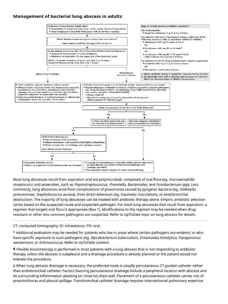 UpToDate Management of Bacterial Lung Abscess in Adults | PDF
