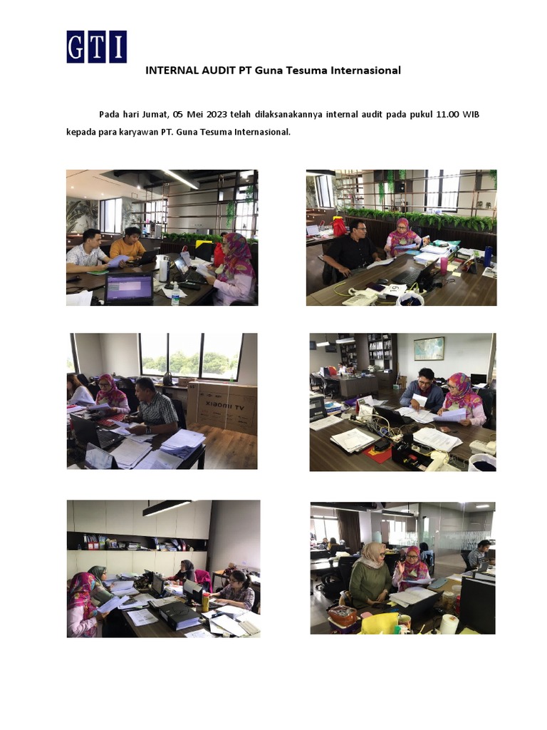 Internal Audit 2023 | PDF