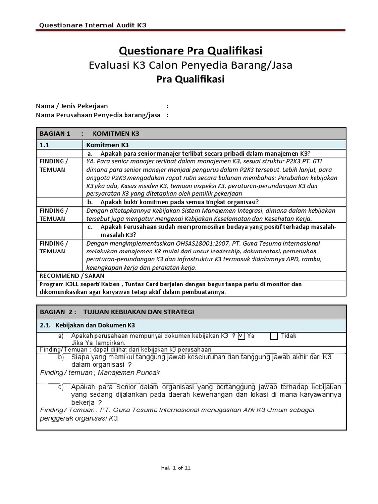 Internal Audit | PDF