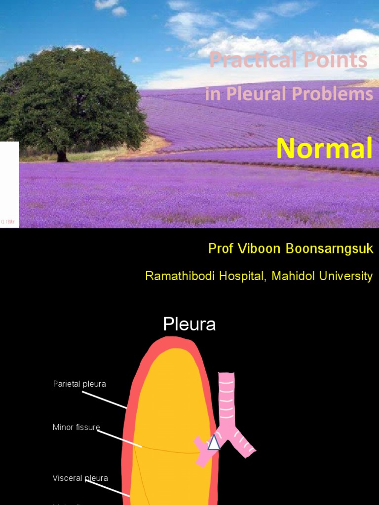 Understanding Pleural Problems and Effusions | PDF | Respiratory System ...