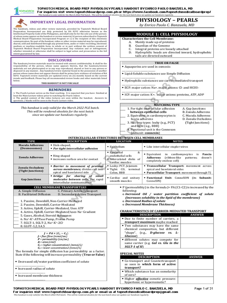 4 - Physiology Pearls | PDF | Muscle Contraction | Neuromuscular Junction