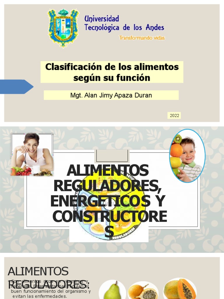 Clasificacion de Los Alimentos | PDF | Alimentos | Comida y bebida