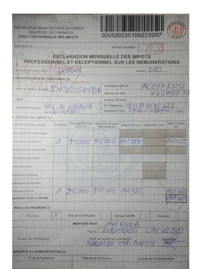 Dgi Declaration | PDF