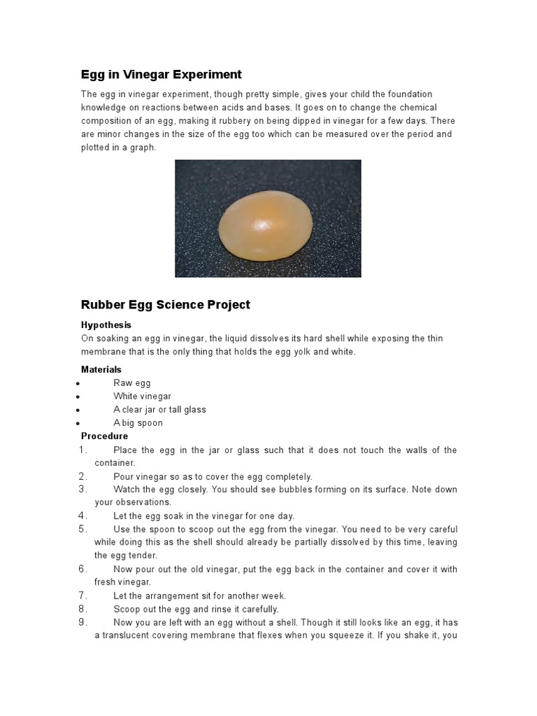 Egg in Vinegar Experiment Overview | PDF | Acetic Acid | Egg