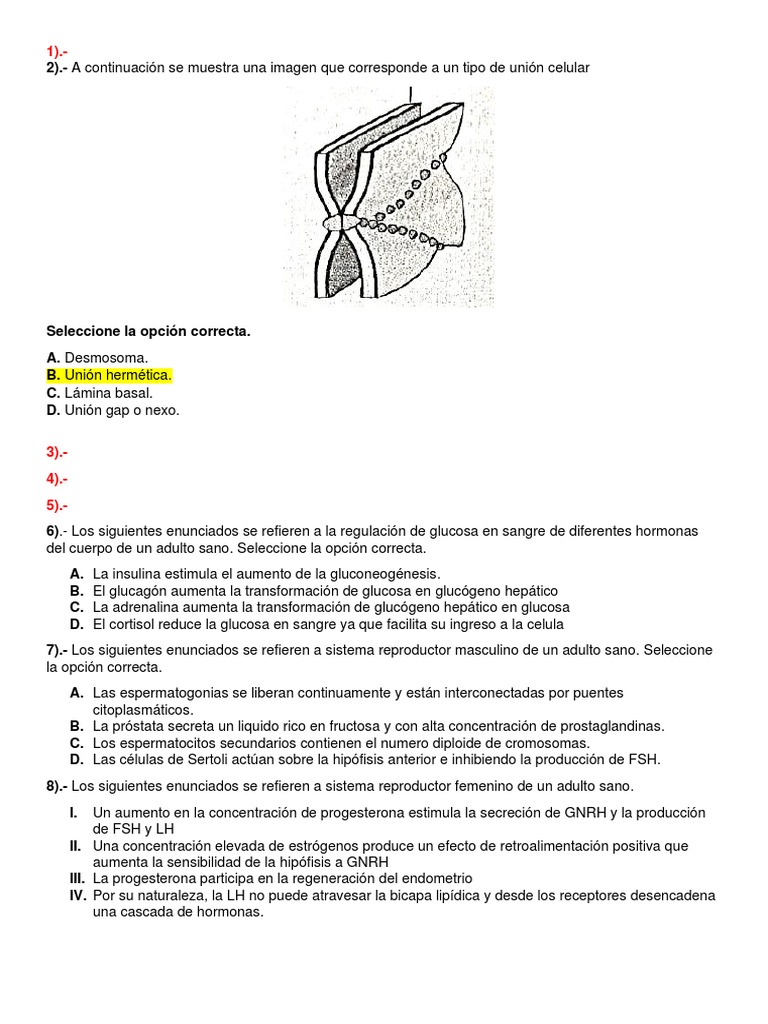 2° PARCIAL InEM 2022 - Incompleto | PDF | Hormona luteinizante | Redox