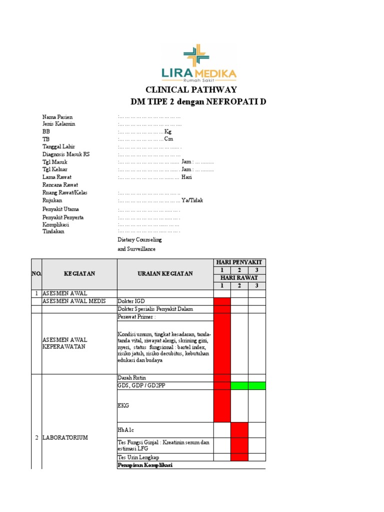 CP DM Tipe II Dengan Nefropati DM | PDF