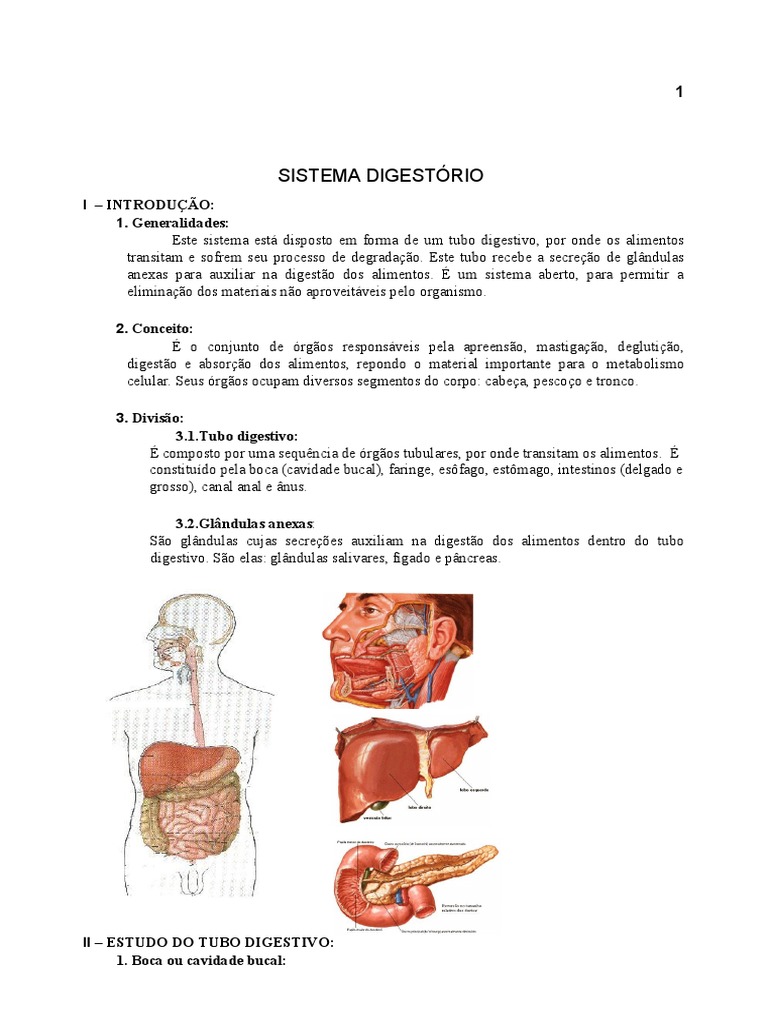 Apostila Do Sistema Digestorio | PDF | Sistema digestivo humano | Pâncreas