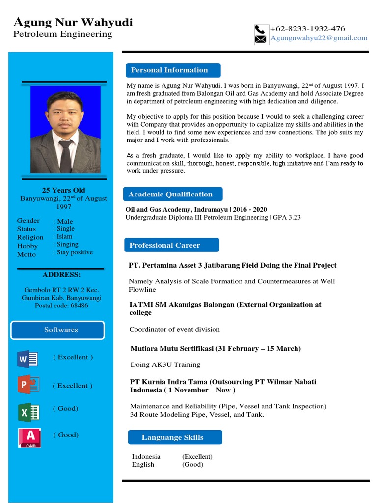CV Agung Nur Wahyudi | PDF