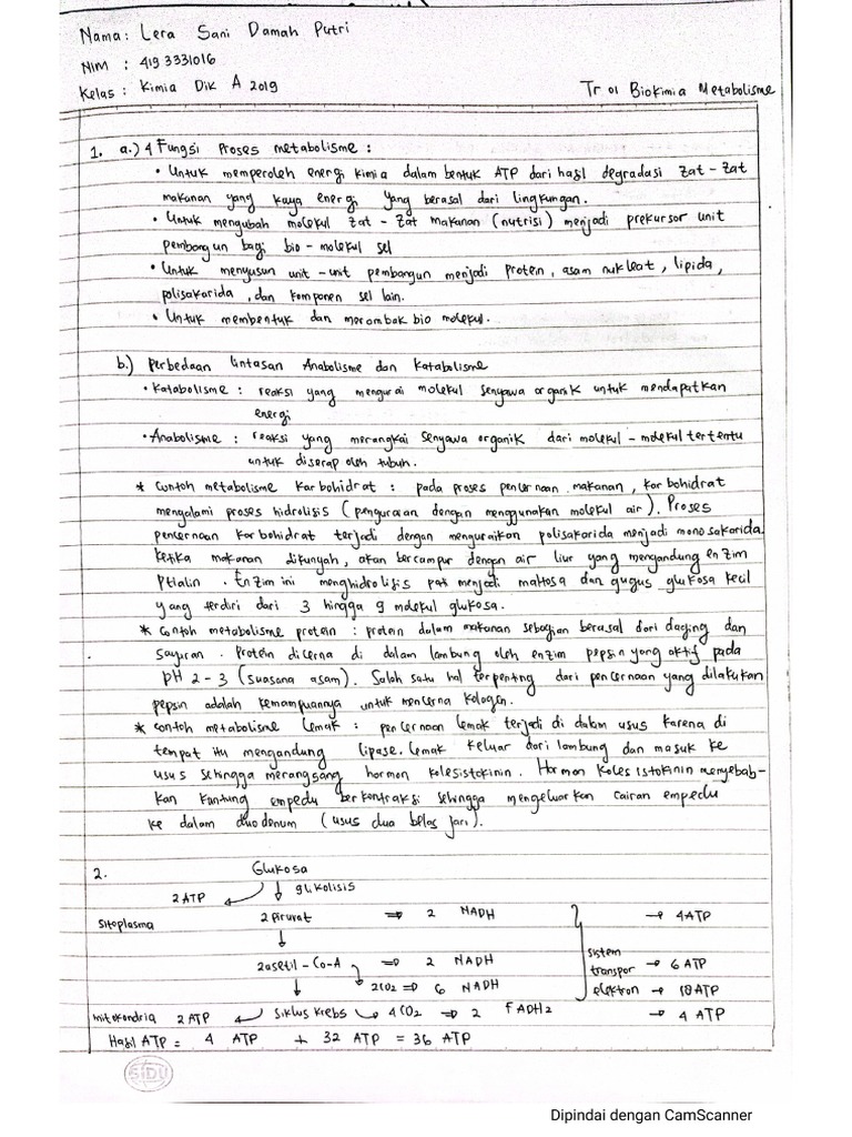TR 01 Biokimia - Lera Sani Damah Putri - PSPK 19A | PDF