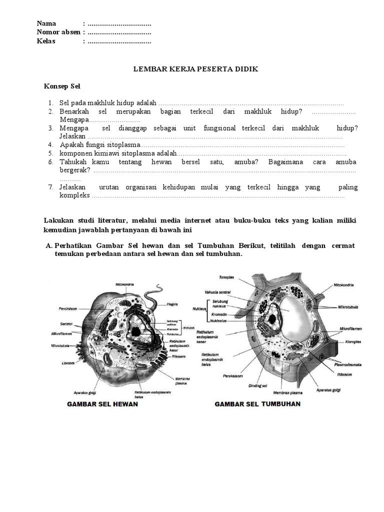 LKPD SEL TUMBUHAN DAN HEWAN | PDF