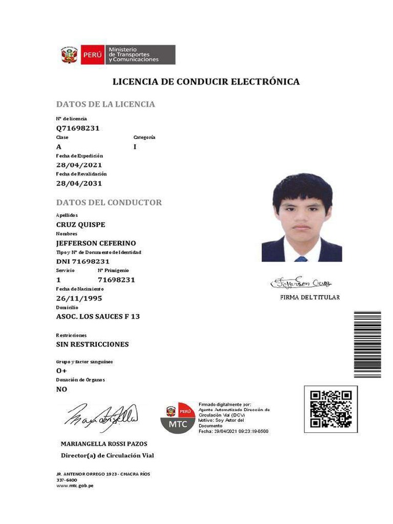 Licencia de Conducir Electrónica - PDF | PDF