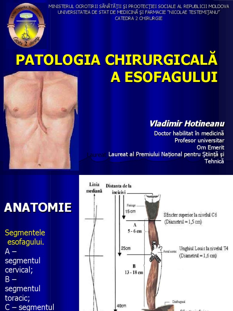 65 Patologia Chiru | PDF