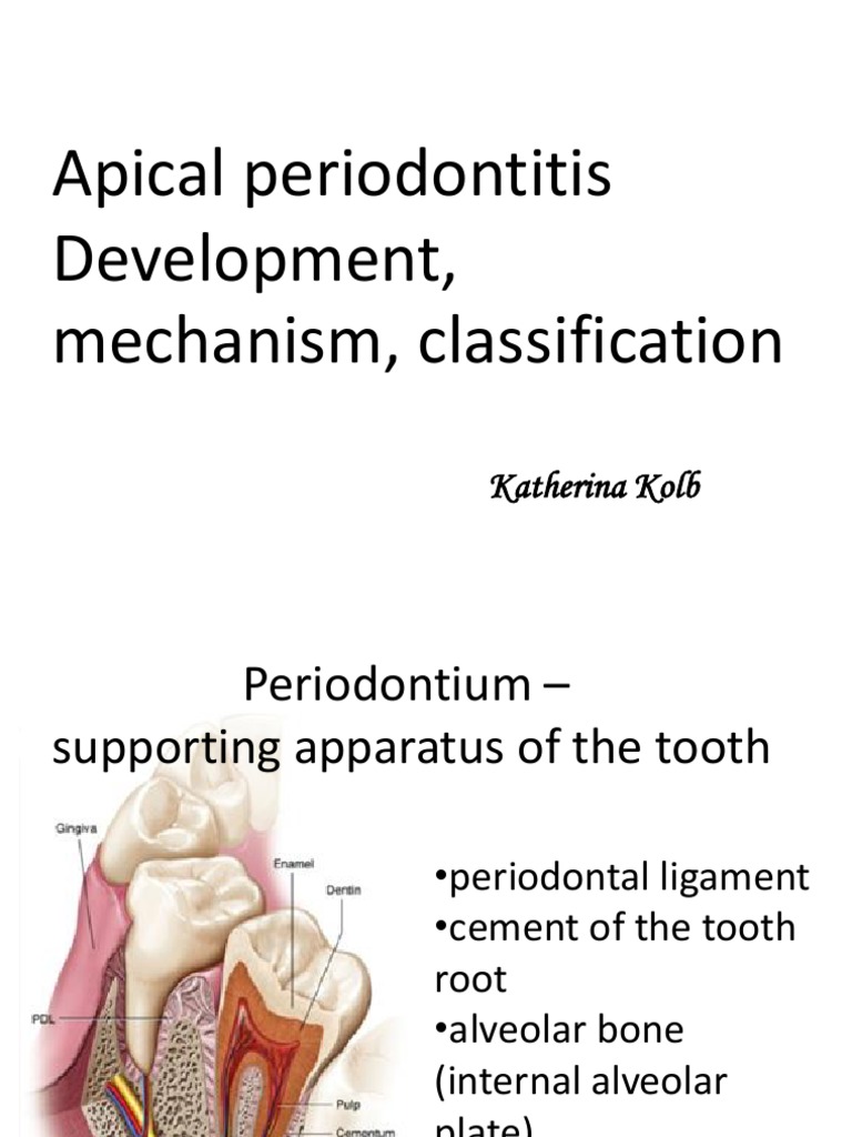 Lecture - 6-5 - Apical Periodontitis. The Development Mechanism ...
