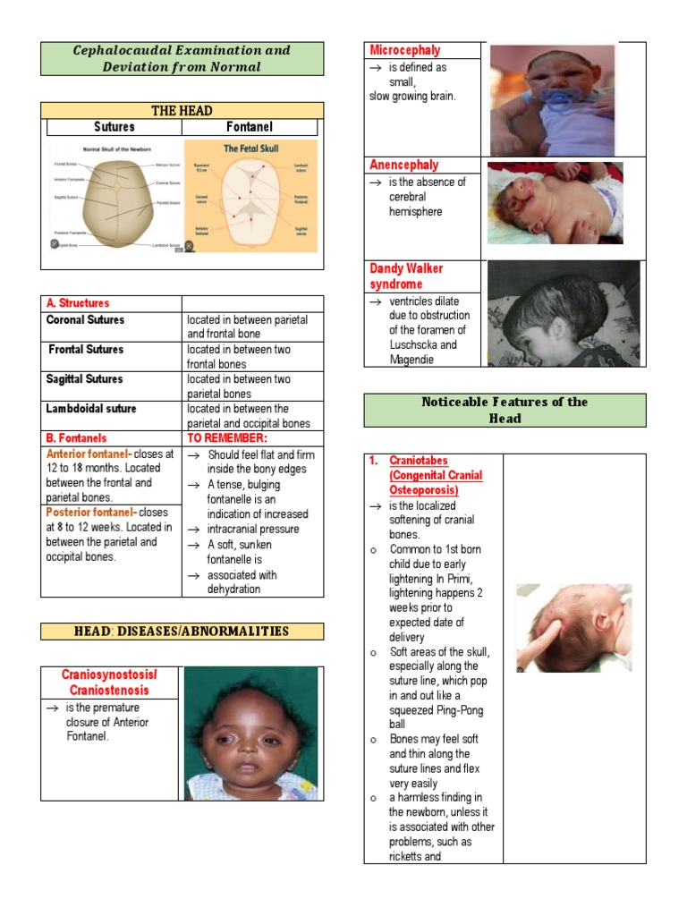 Cephalocaudal Kemerut | PDF | Medical Specialties | Clinical Medicine