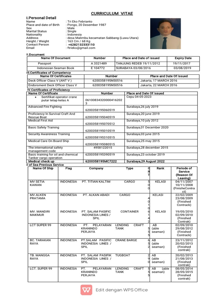 Curriculum Vitae Trieko 11 | PDF | Shipping | Ships