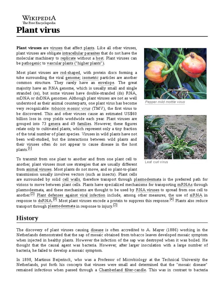 Plant Virus | PDF | Plant Virus | Virus