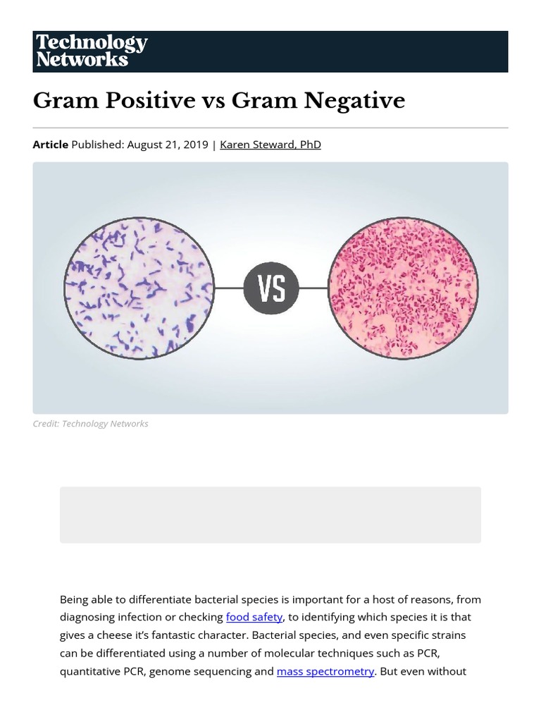 Gram Positive Vs Gram Negative | PDF | Gram Positive Bacteria | Gram Negative Bacteria