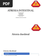 Guía Clínica sobre Atresia Intestinal | PDF | Intestino grueso | Infantes