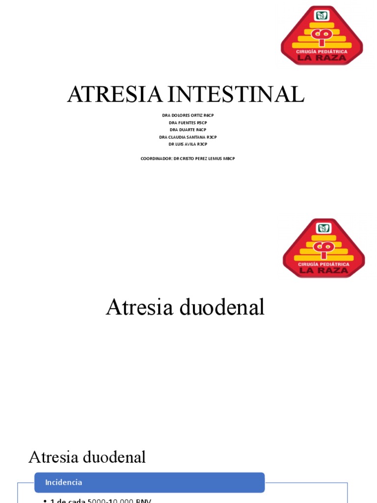 Tratamiento Atresia Intestinal Mayid | PDF | Abdomen | Tracto ...