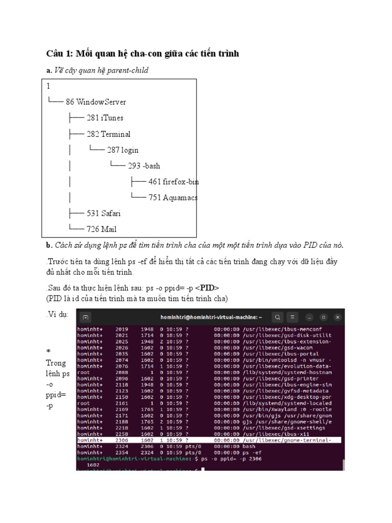 IT007.N25 Lab3 HoMinhTri 21522701 | PDF