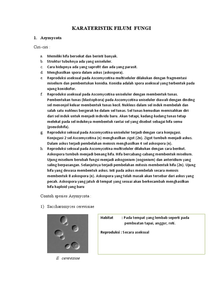 Karakteristik Filum Fungi dan Reproduksinya | PDF