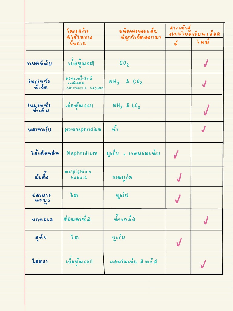 Bio Test: Summer | PDF