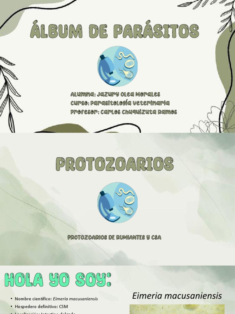 Album de Parasitos - Modulo 3 | PDF | Especialidades Medicas