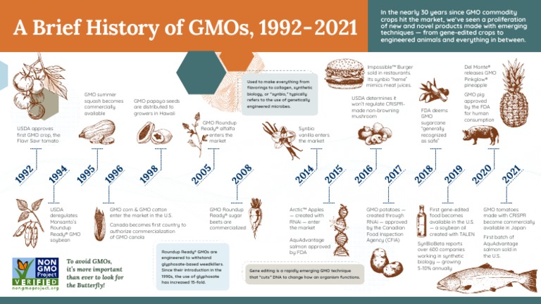 NGMO_Infographic_Timeline_FINAL | PDF | Genetically Modified Organism | Food And Drink