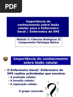 Fleimao | PDF | Medicina Clínica | Especialidades médicas