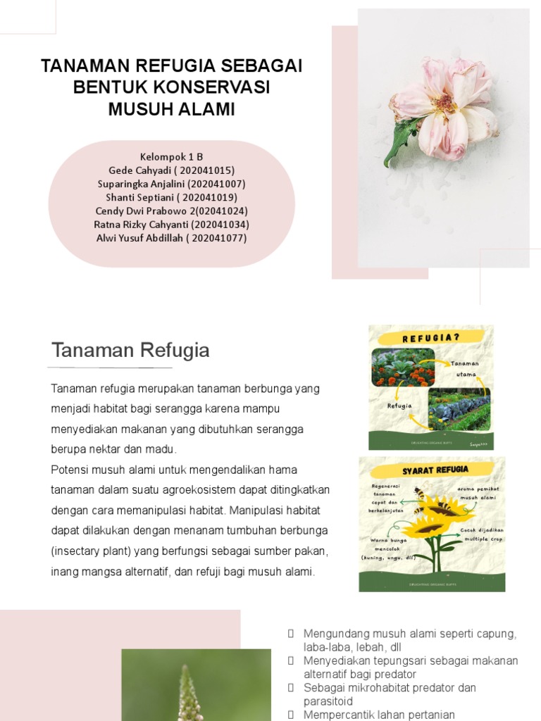 1B - Refugia | PDF