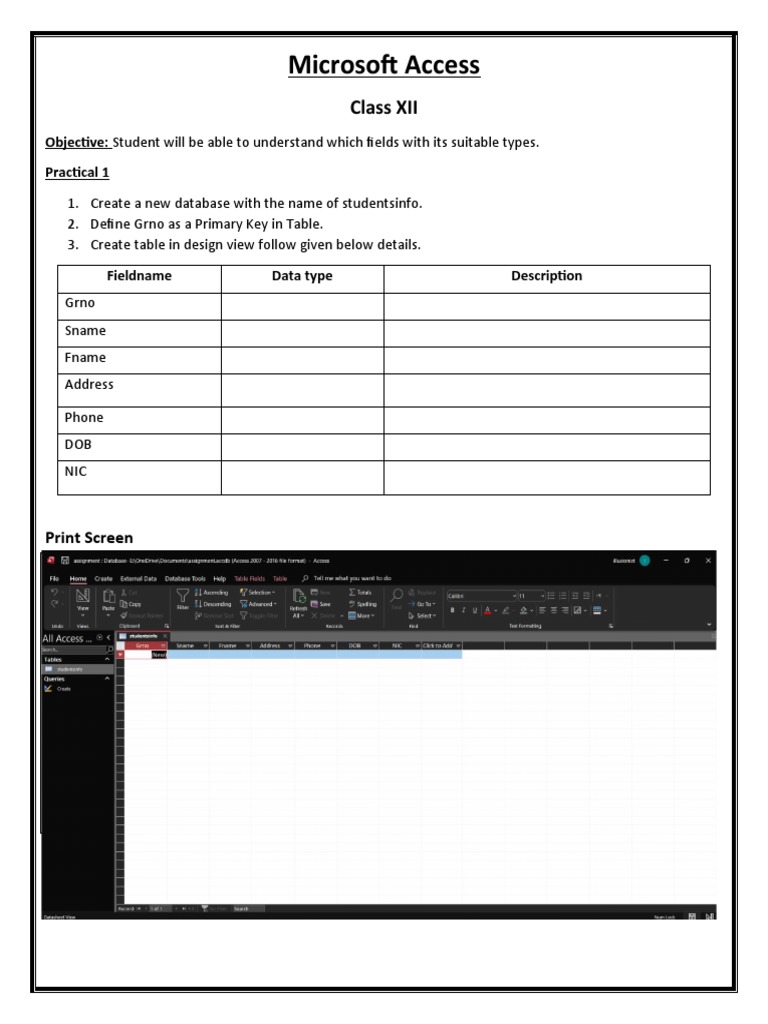 Class XI Practical | PDF | Databases | Software