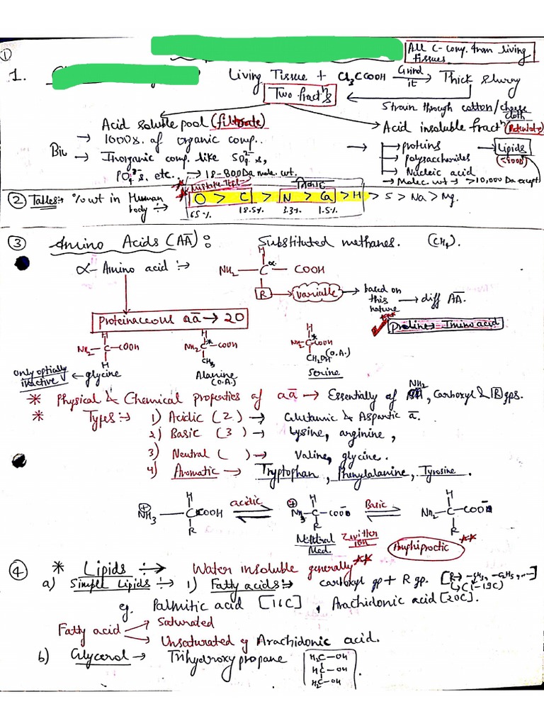Biomolecules Full Notes Pdf