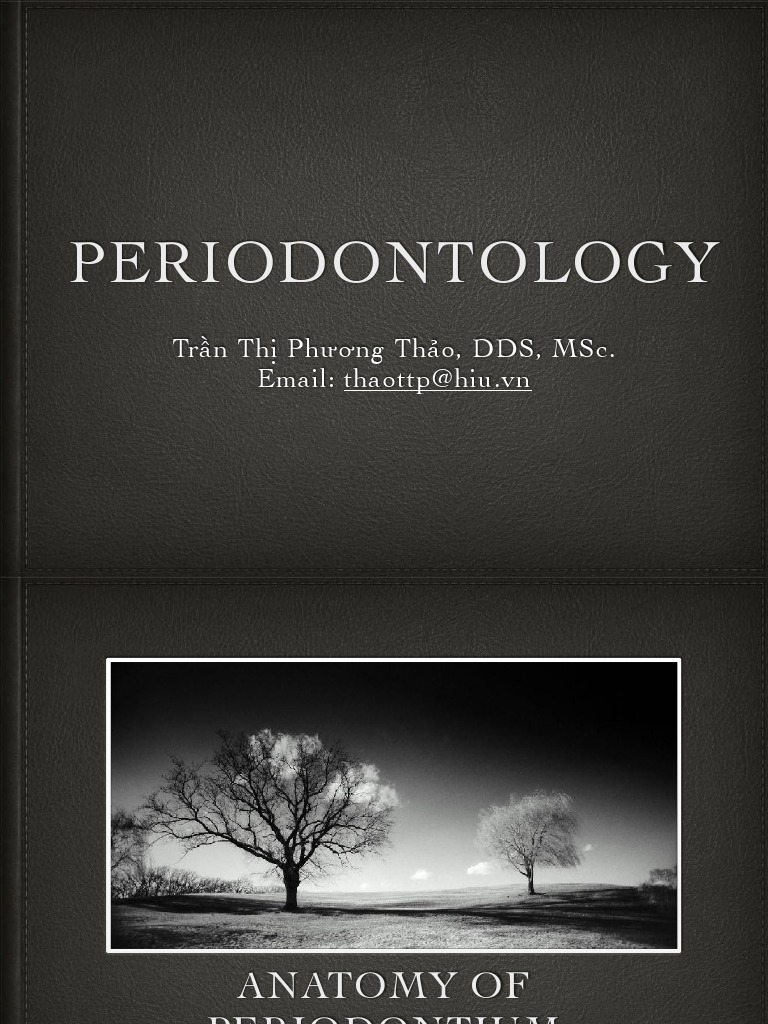 Anatomy of Peridontium | PDF