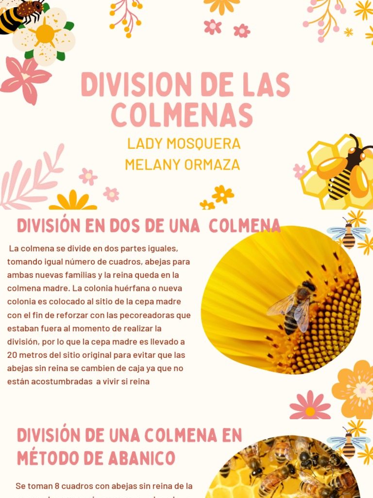 División de La Colmena | PDF | Colmena | Western Honey Bee