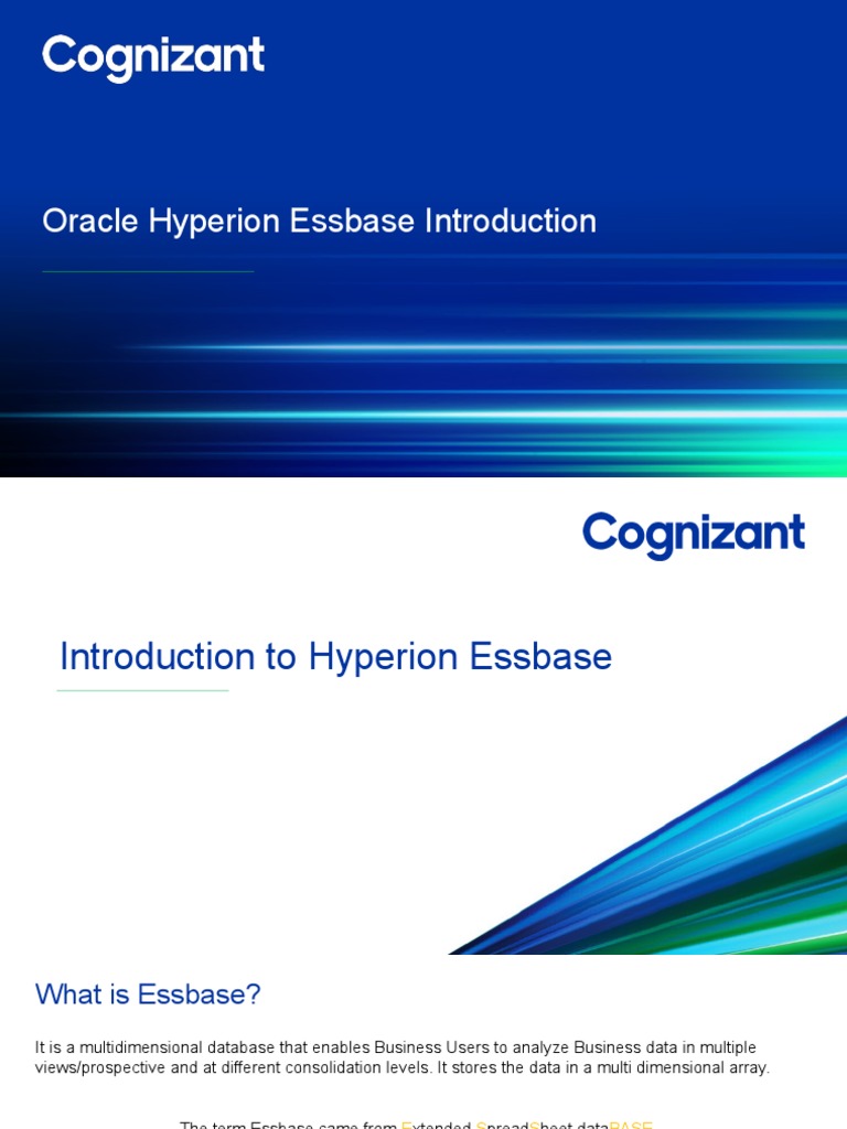 Hyperion Essbase | PDF | Database Index | Databases