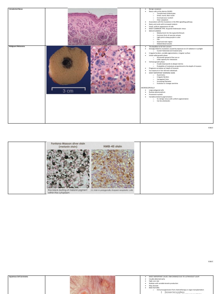 Pathology Integumentary System | PDF | Epidemiology | Neoplasms