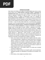 Instructiva de Poder Segip | PDF